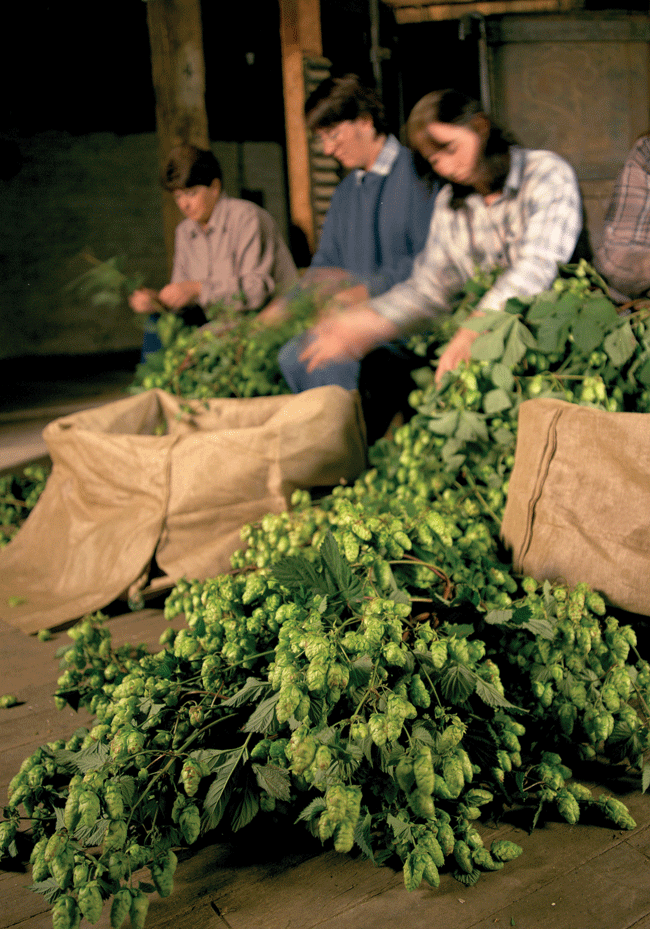 Taste of Tasmania is our largest food and wine festival